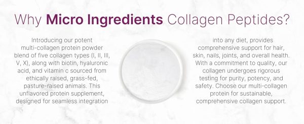 Micro Ingredients Official Online Website - Micro Ingredients Official ...